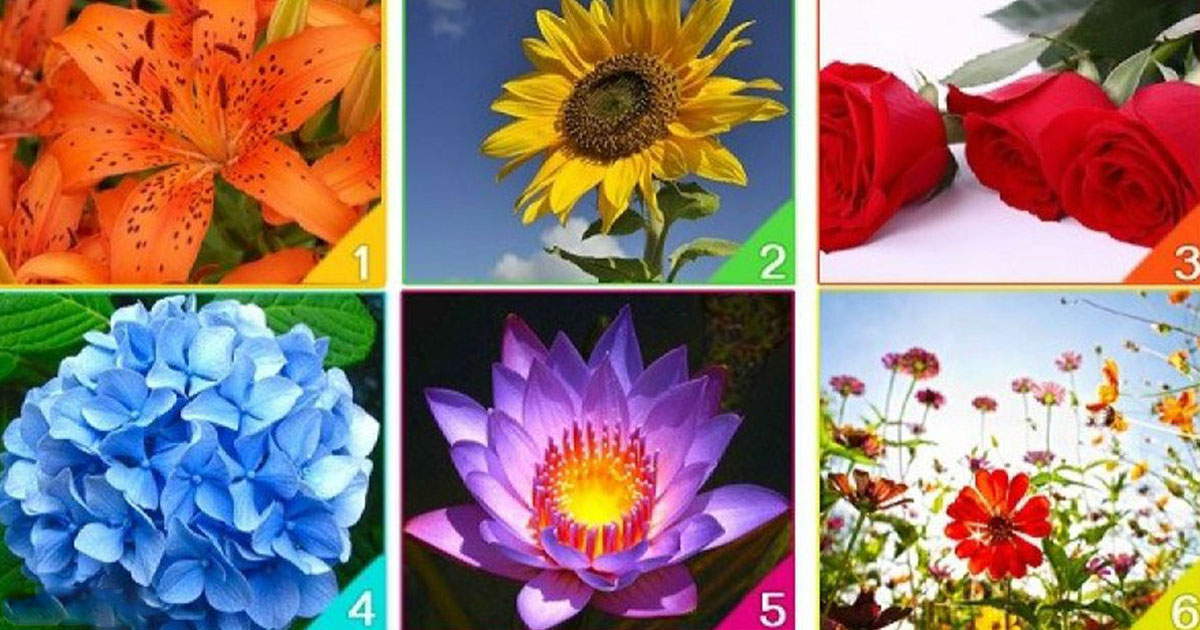 Ce floare reprezintă puterea spiritului tău? Alege cu sufletul și vezi ...