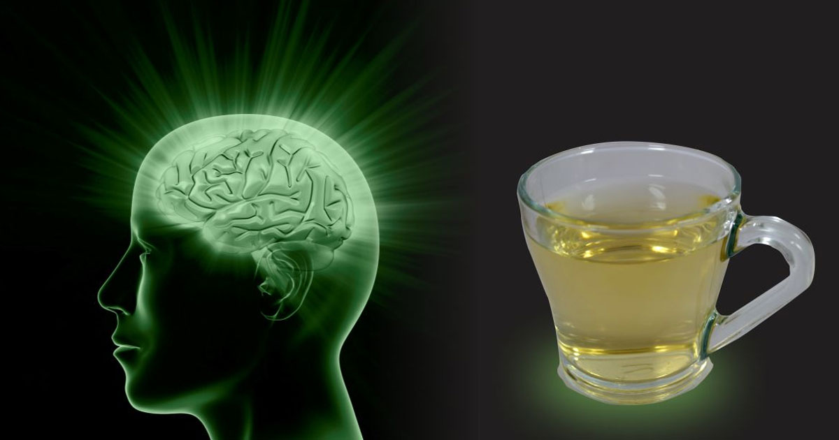 Ești stresat? 7 plante medicinale ne salvează în diferite situații